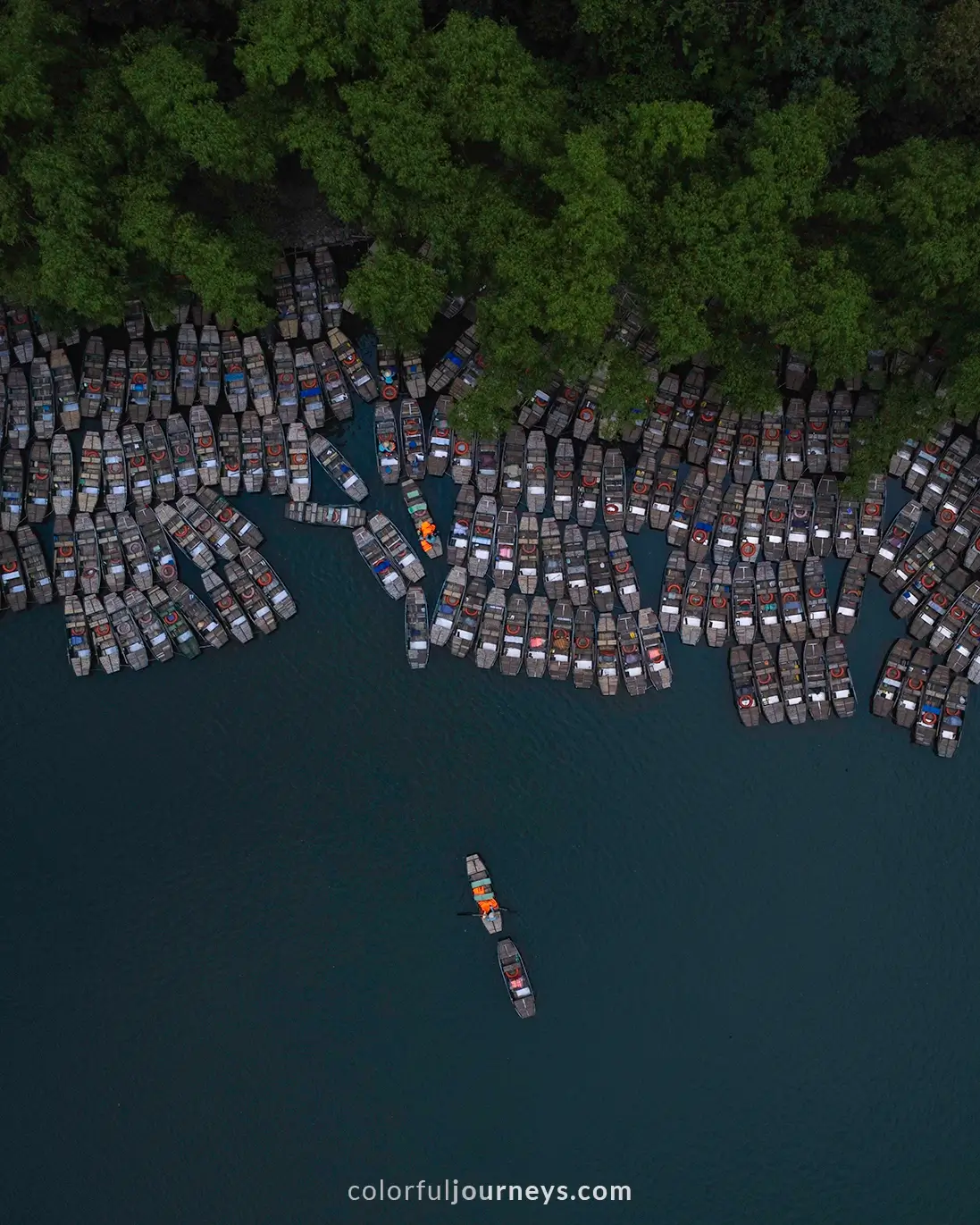 Trang An Boat Tour: Best Route, Prices, & Tips